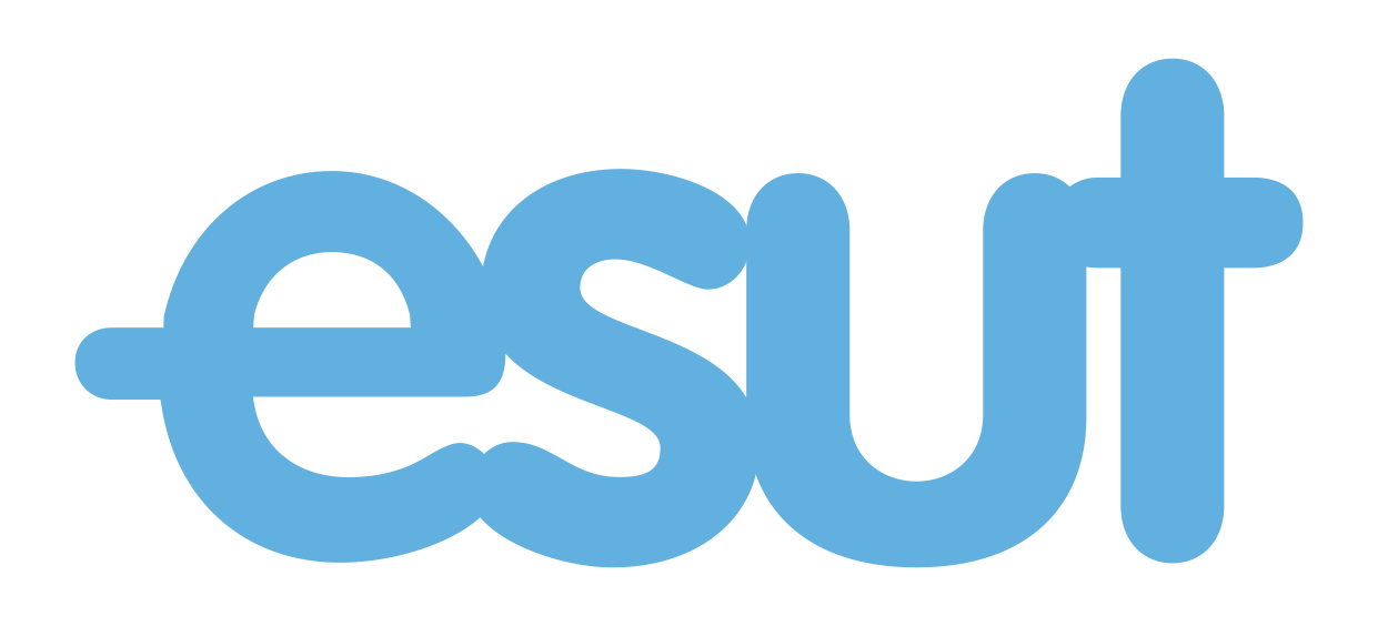 Endoscopic Stone Treatment - SiSE Urology